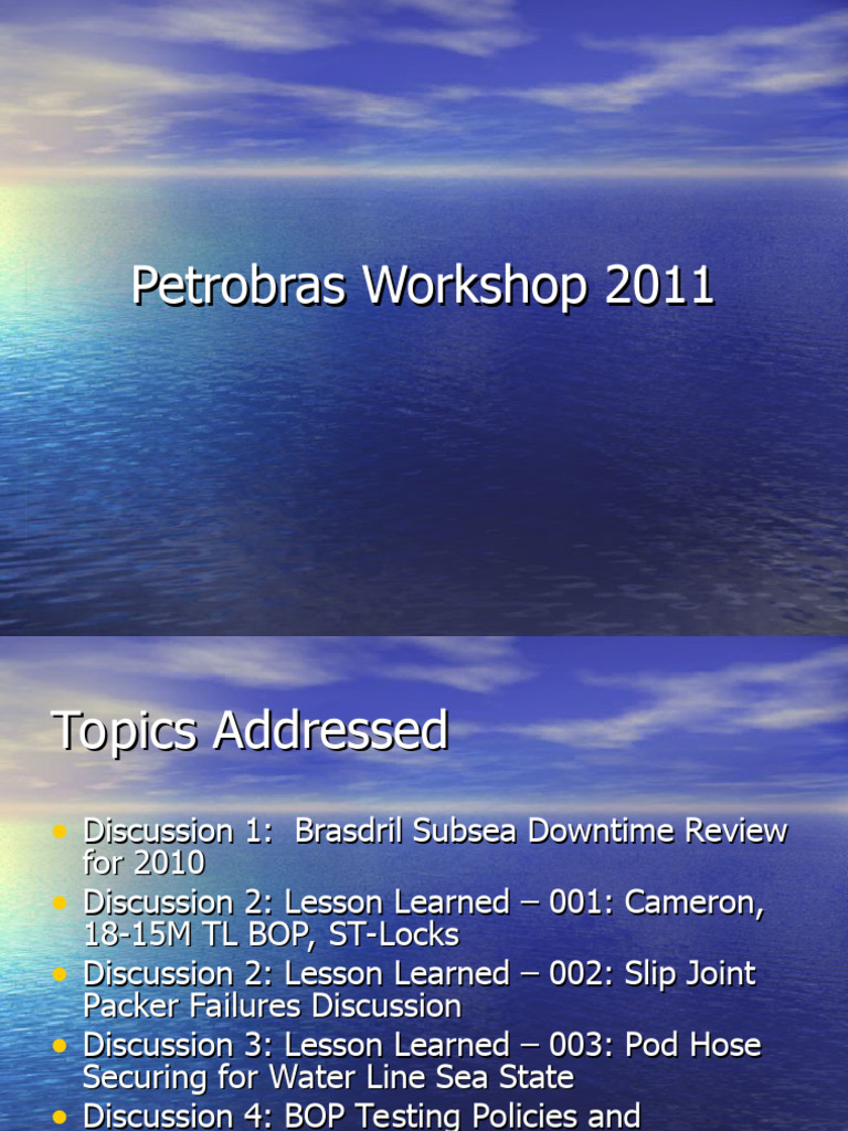 Brasdril Petrobras Workshop 2011 | PDF