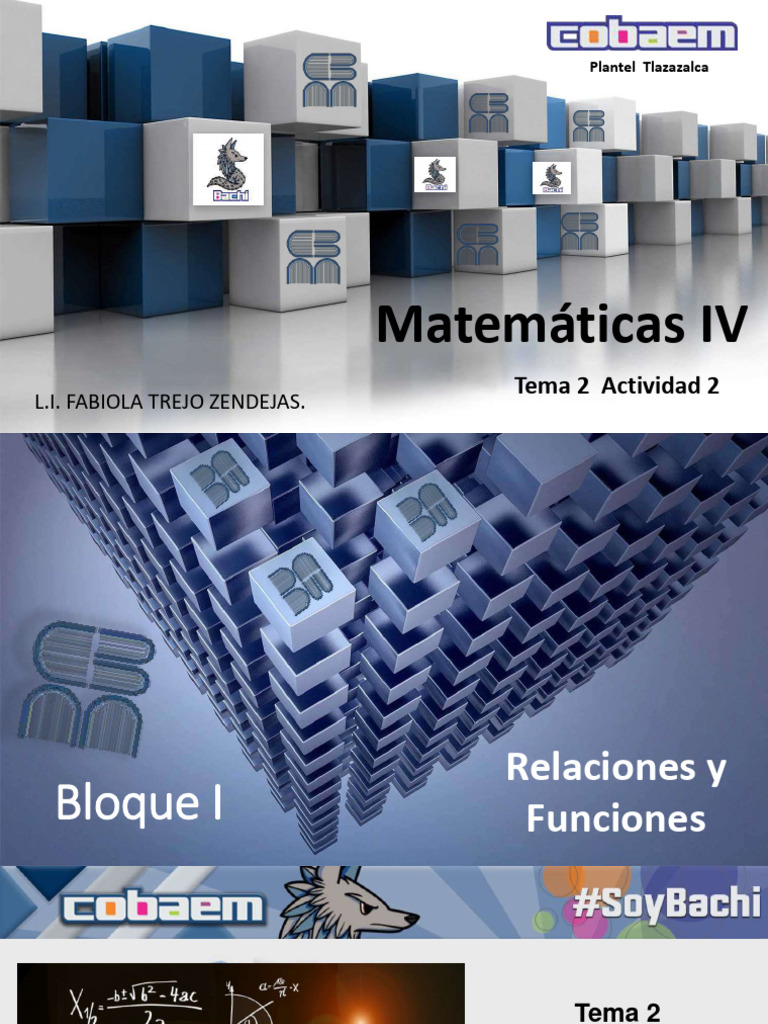Matemáticas Iv Tema 2 Actividad 2 | PDF | Función (Matemáticas) | Variable (Matemáticas)
