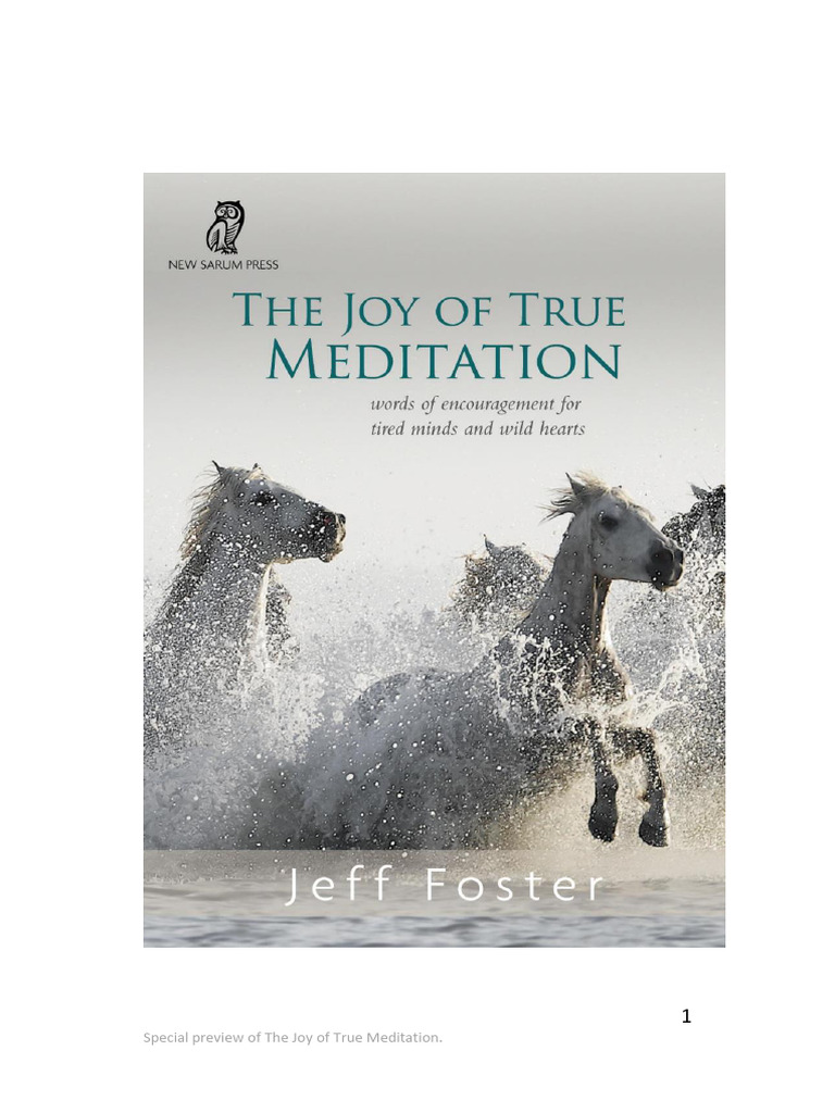 Book Preview - The Joy of True Meditation | PDF | Feeling | Meditation