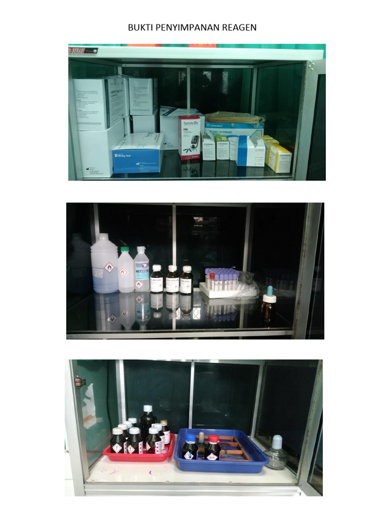 Bukti Penyimpanan Reagen | PDF