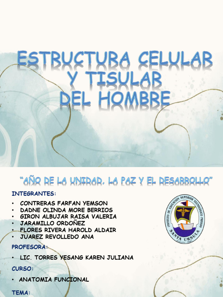 Estructura Celular y Tisular | PDF | Biología Celular) | Músculo ...