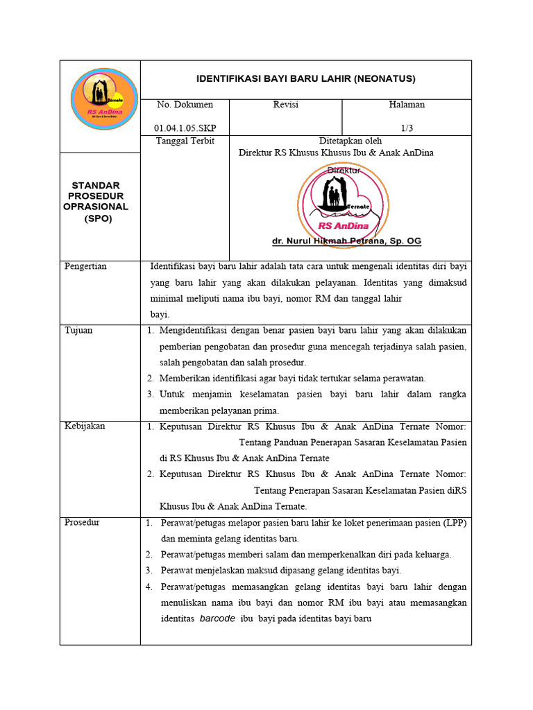 Identifikasi Bayi Baru Lahir (Neonatus) | PDF