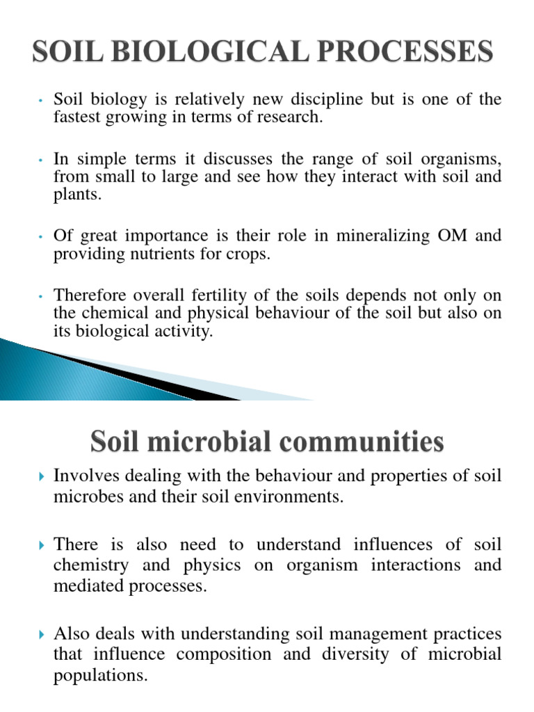Soil Science Soil biology | PDF | Soil | Earth Sciences