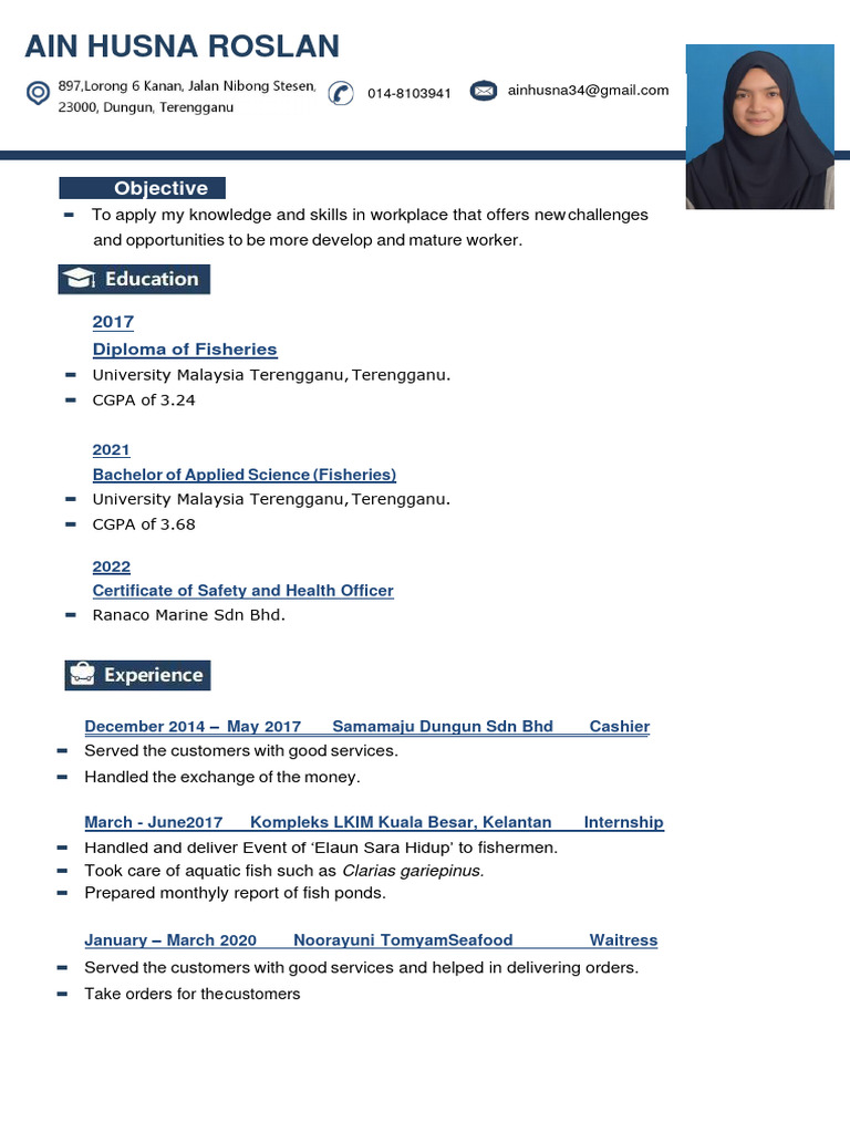 Ain Husna Resume (2) | PDF