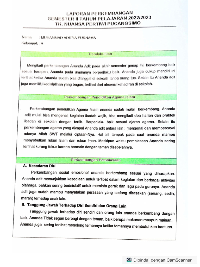 Laporan Pencapaian Perkembangan Anak | PDF