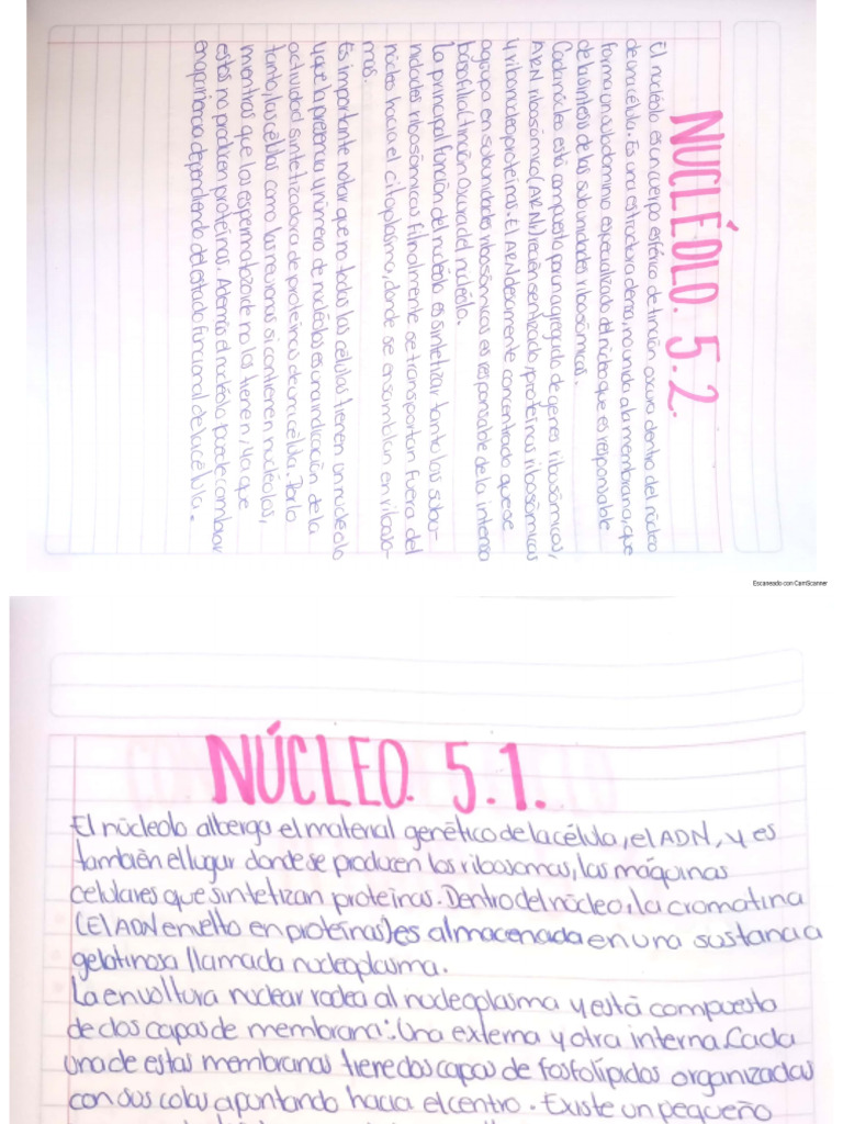 Unidad 5.1,5.2,5.3 Biología Celular | PDF