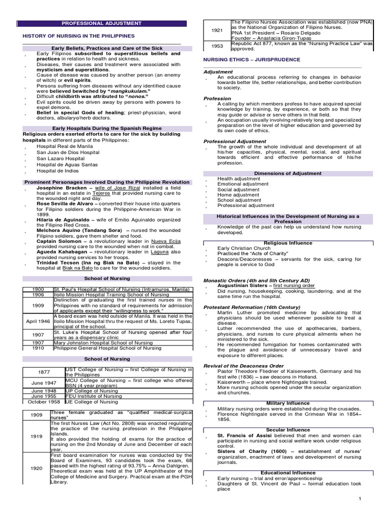 Professional Adjustment | PDF | Nursing | Profession