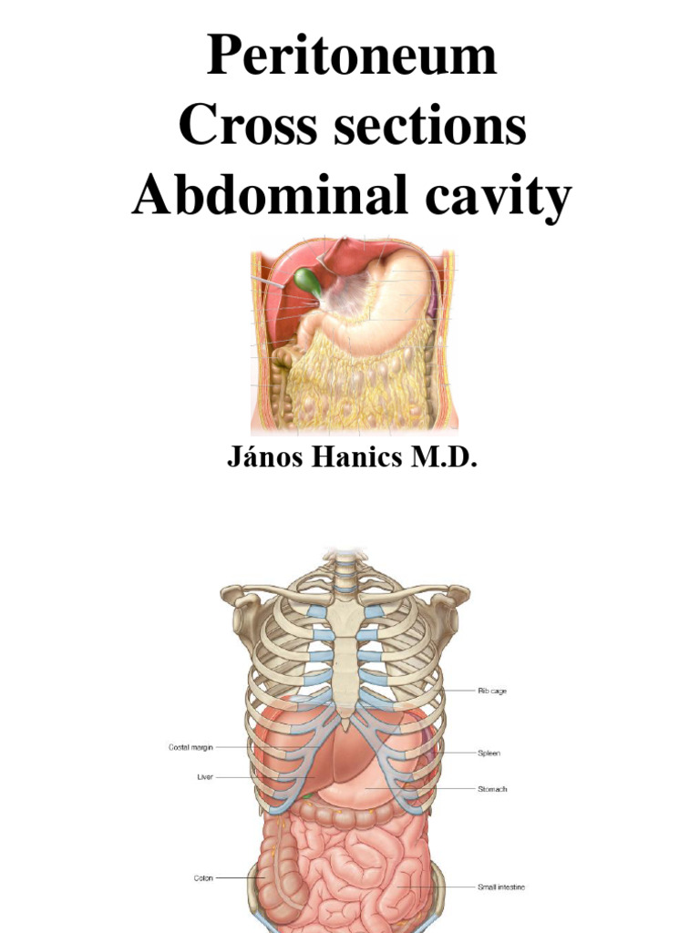 Peritoneum_EDI_HJ2019 | PDF