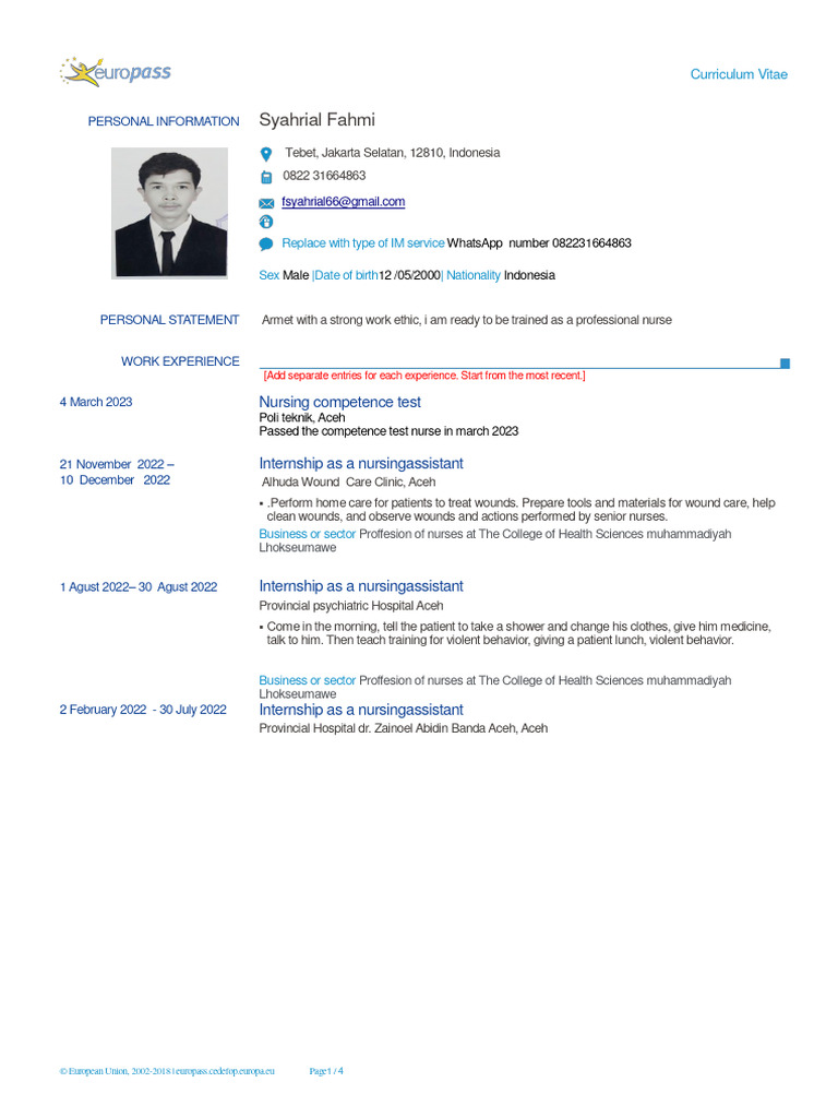 CV Europass - Syahrial Fahmi | PDF | Intravenous Therapy | Nursing