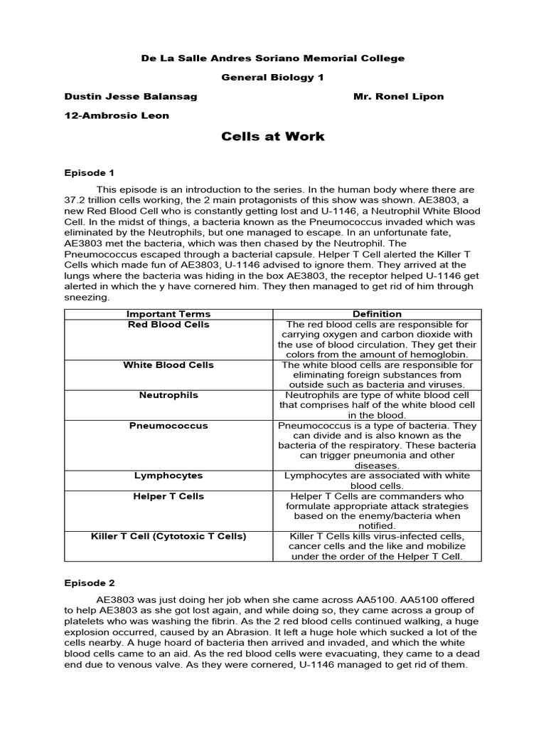 Bio Cells at Work | PDF | Vein | Atrium (Heart)