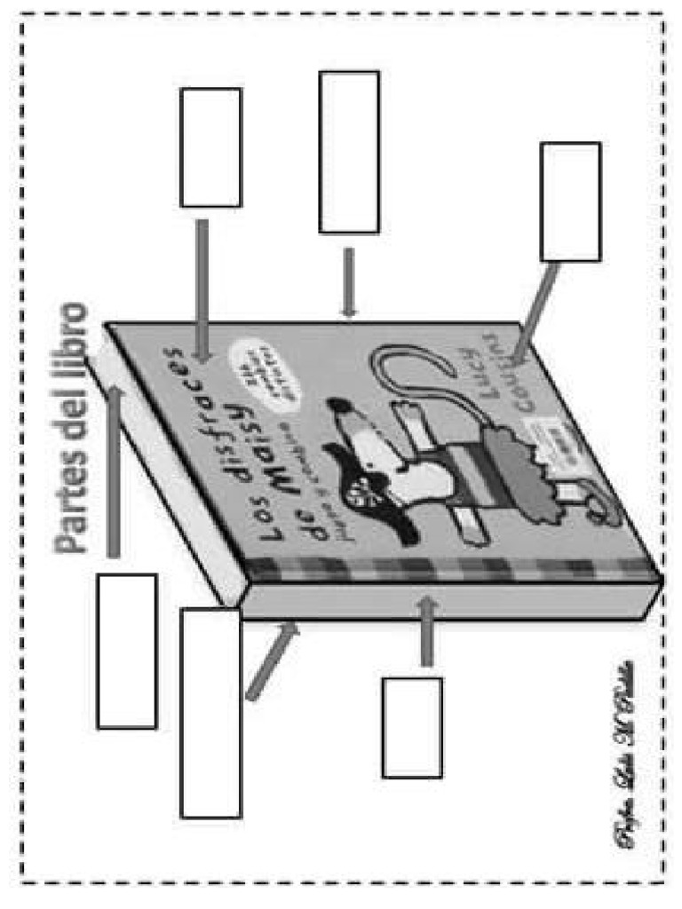 Partes Del Libro | PDF