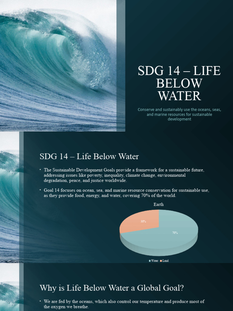 Progress on SDG 14: Life Below Water | PDF | Science & Mathematics ...