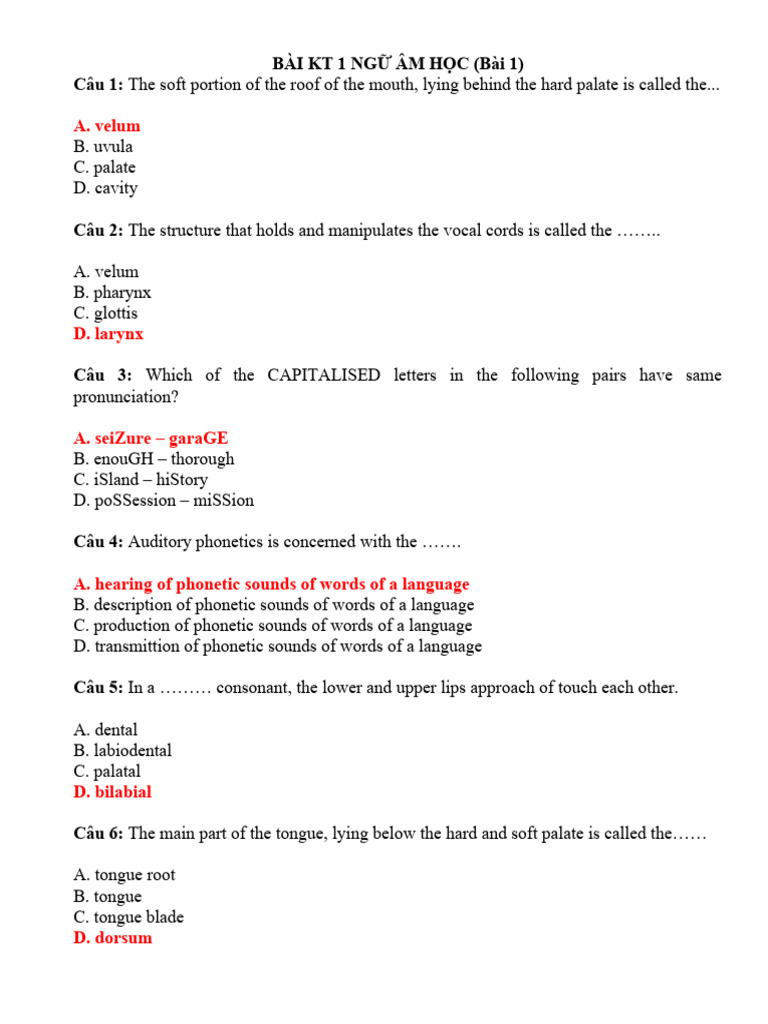 6-BÀI KT 1 NGỮ ÂM HỌC | PDF
