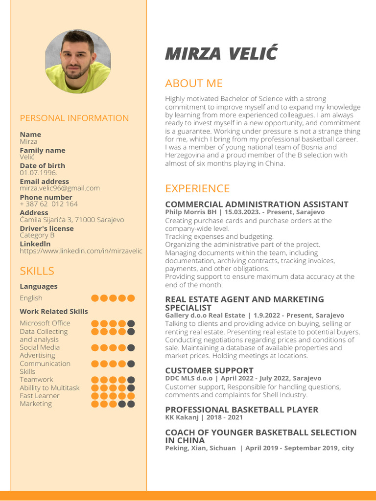 cv_eng_Mirza-Velic | PDF