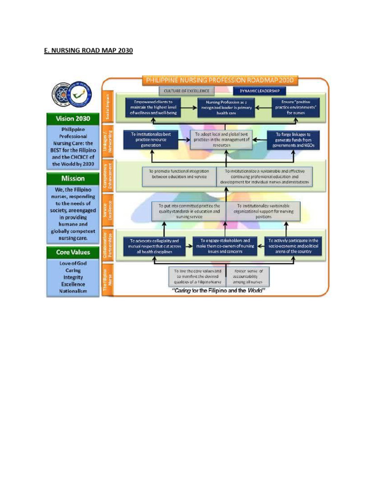 E.-NURSING-ROAD-MAP | PDF