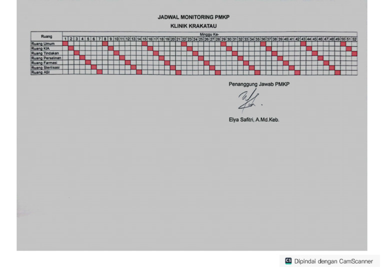 Jadwal Monitoring PMKP | PDF