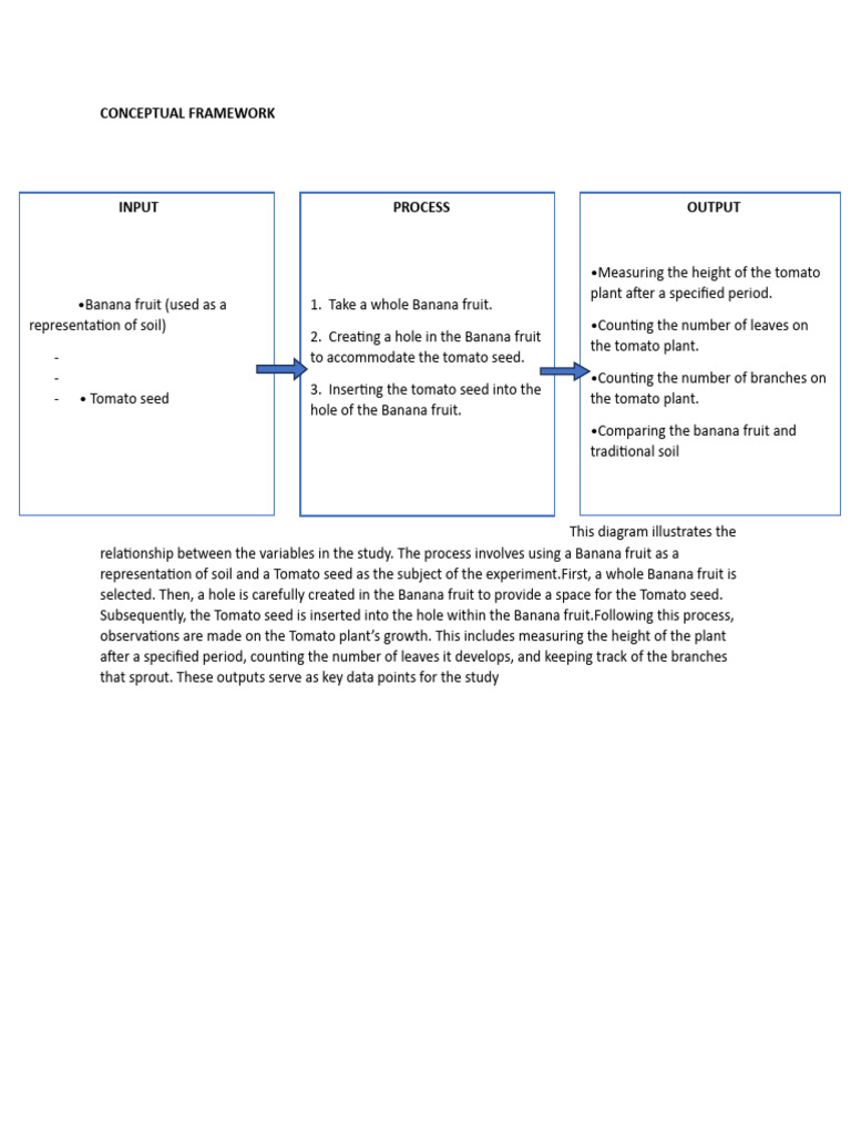 Conceptual Framework | PDF