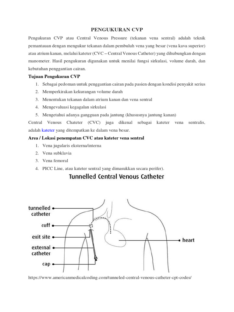 Pengukuran CVP JVP | PDF