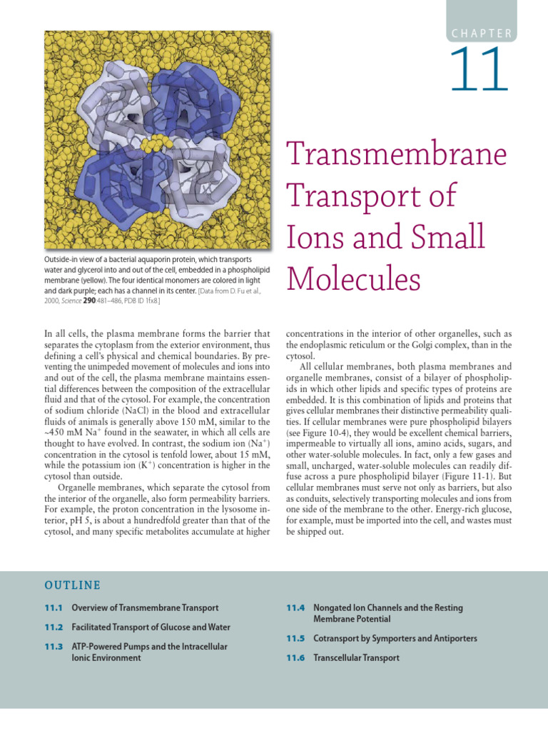 Lodish H., Berk A., Et Al., (2016) - Molecular Cell Biology. 8vaed | PDF
