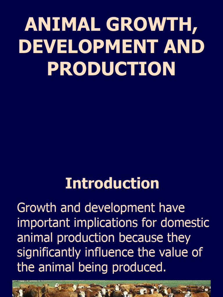 Animal Growth and Development Insights | PDF | Embryo | Biological ...