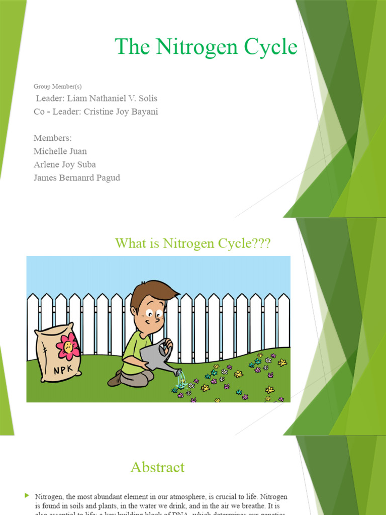 The Nitrogen Cycle | PDF | Eutrophication | Soil