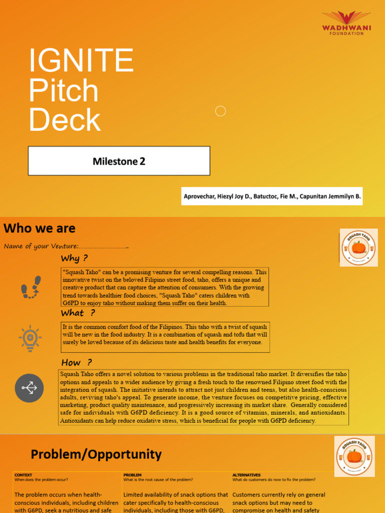 Ignite Milestone 2 | PDF | Target Audience | Marketing