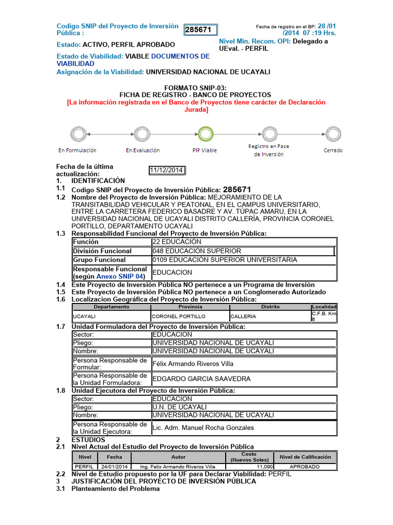 Formato Snip 285671 | PDF | Infraestructura | Economias