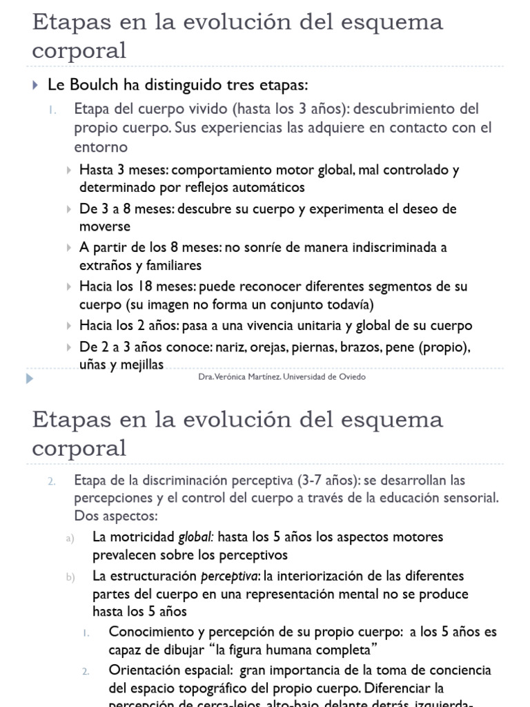 Esquema corporal | PDF | Músculo esquelético | Sistema respiratorio