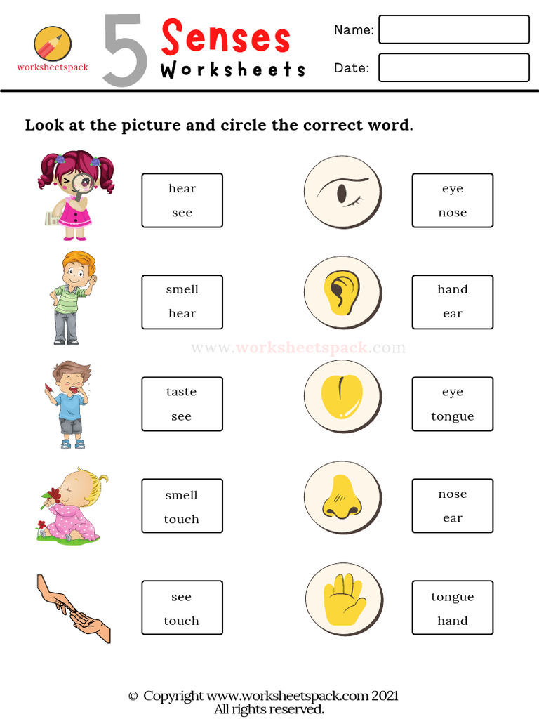 The 5 Senses Worksheets Circle The Correct Word | PDF