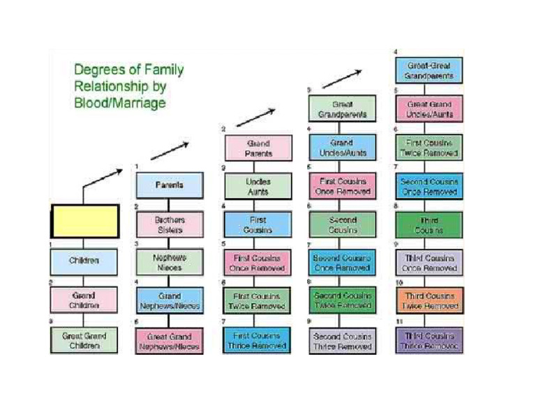 cONSANGUINITY AND AFFINITY CHART | PDF