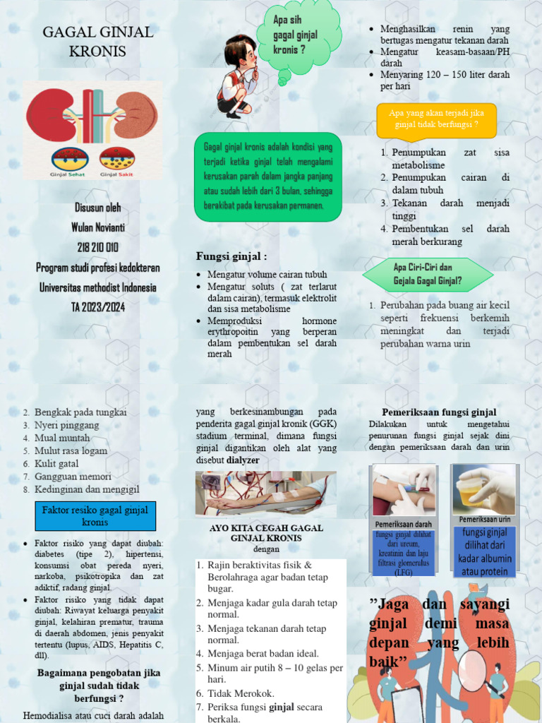 Fungsi Ginjal Leaflet | PDF