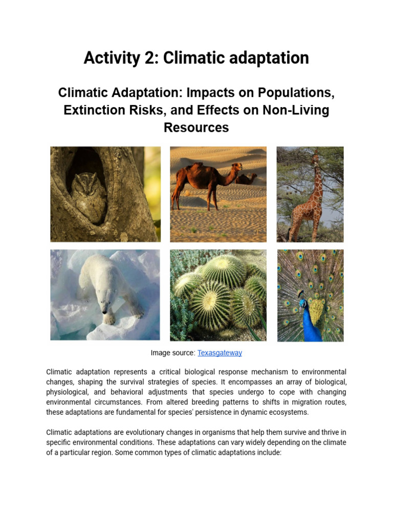Activity 2 Climatic Adaptation | PDF | Coral Reef | Climate Change