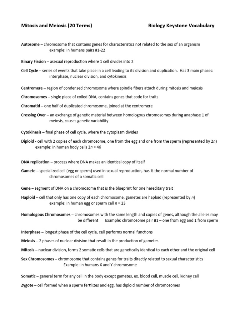 Mitosis and Meiosis Vocab List | PDF