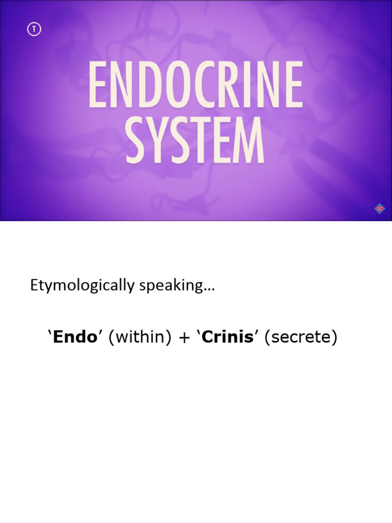 Chapter 5 - The Endocrine System - Final | PDF | Adrenal Gland | Hypothalamus