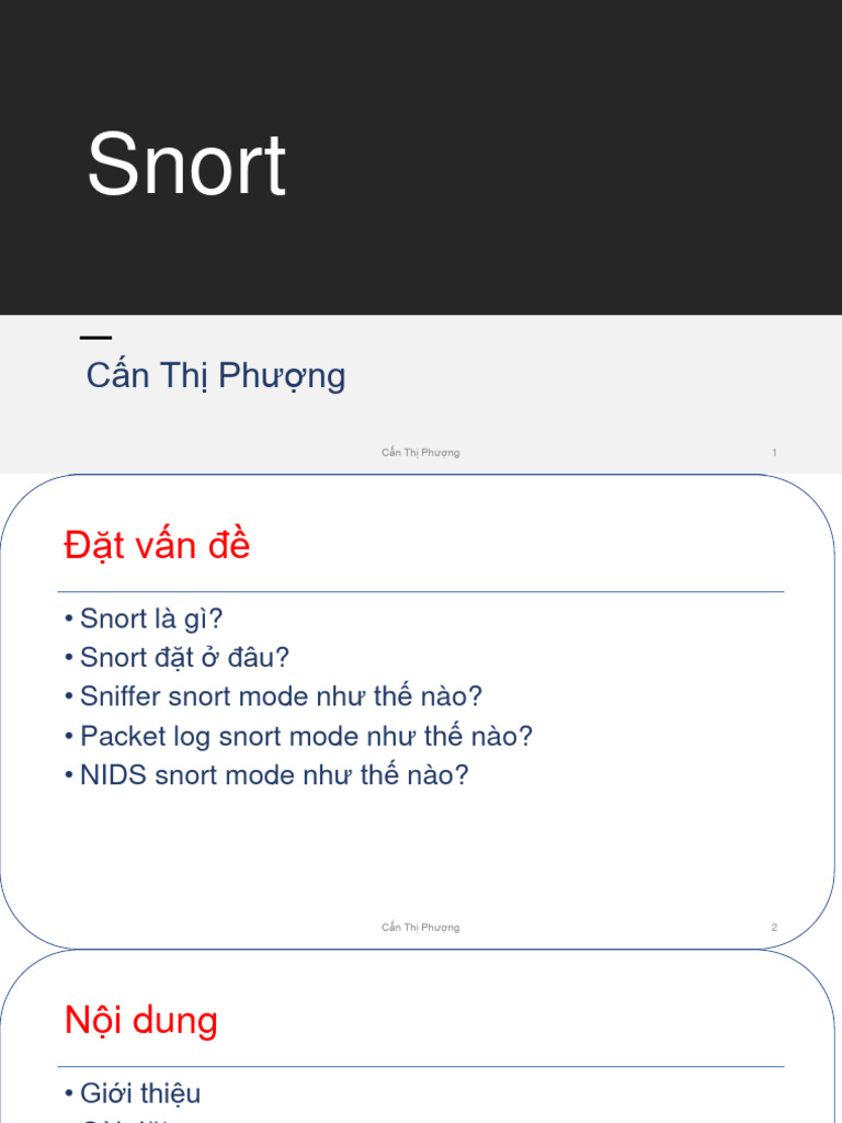Snort CanThiPhuong Sv2021 | PDF