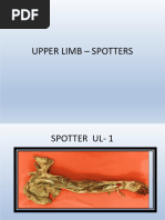 Goniometry Landmarks | PDF | Anatomical Terms Of Motion | Anatomical ...