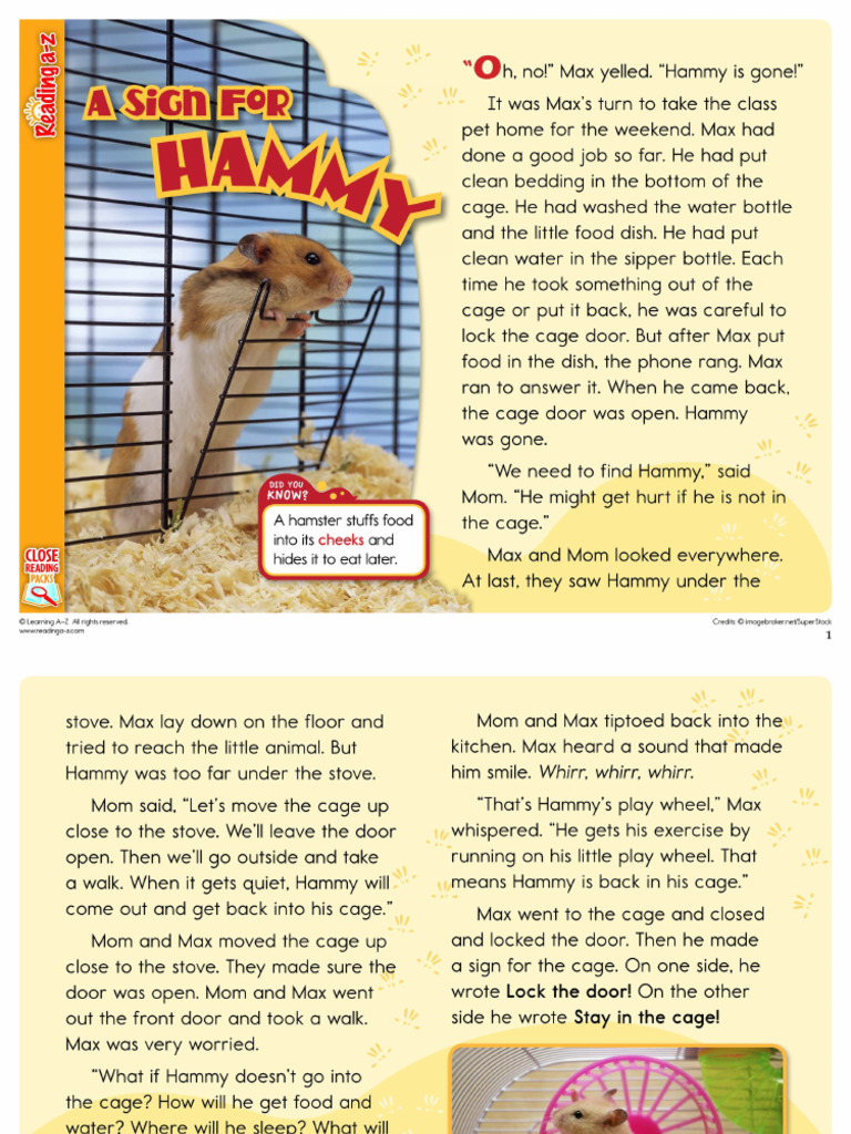 A Sign for Hammy | PDF