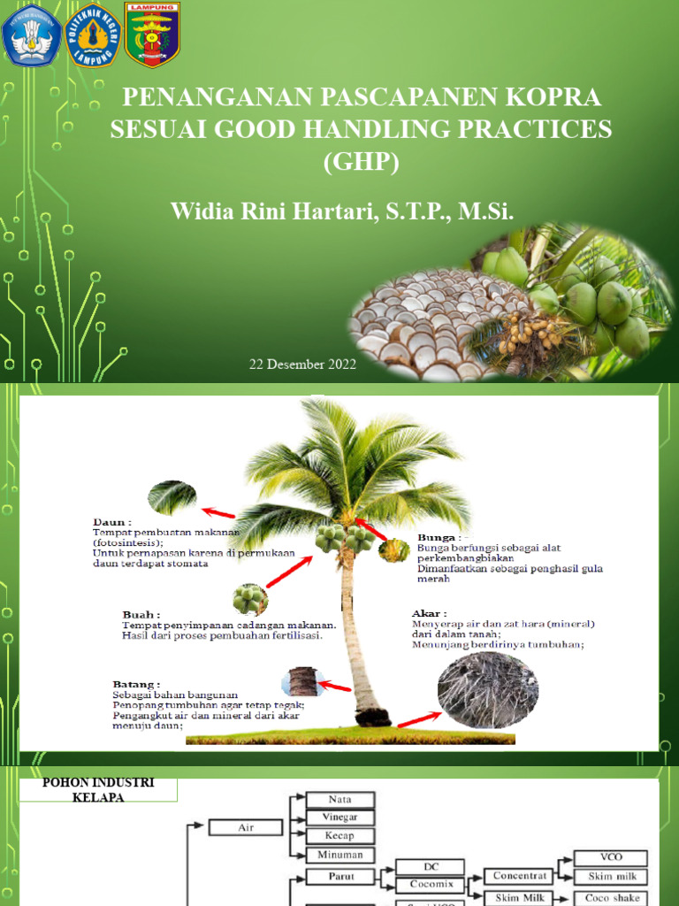 Presentasi Kopra Dan GHP | PDF