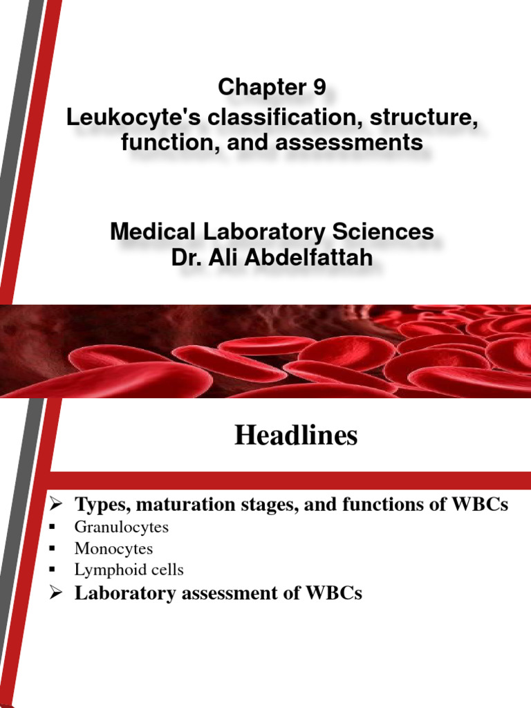 Leukocyte's Classification, Structure, Function, and Assessment | PDF | White Blood Cell ...