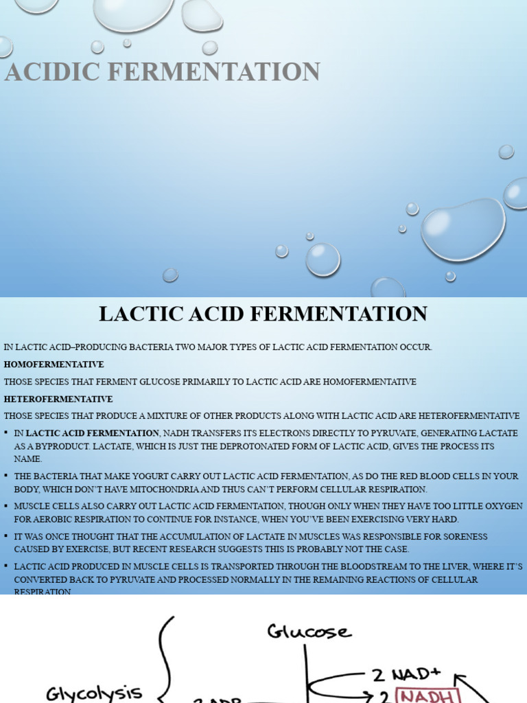 Acidic Fermentation | PDF