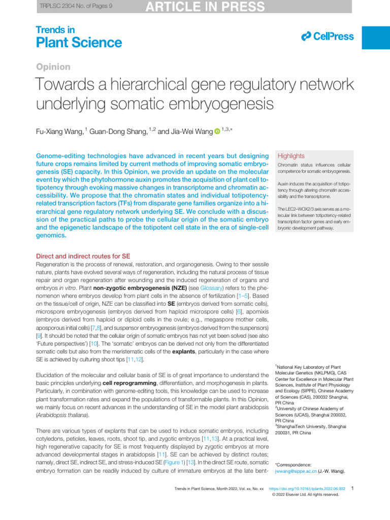 1 - Somatic Embryogenesis | PDF | Cell Potency | Cellular Differentiation