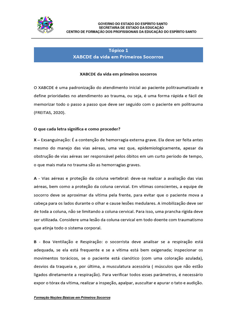 Livro Acessível 2 - XABCDE Da Vida em Primeiros Socorros | PDF | Coluna ...