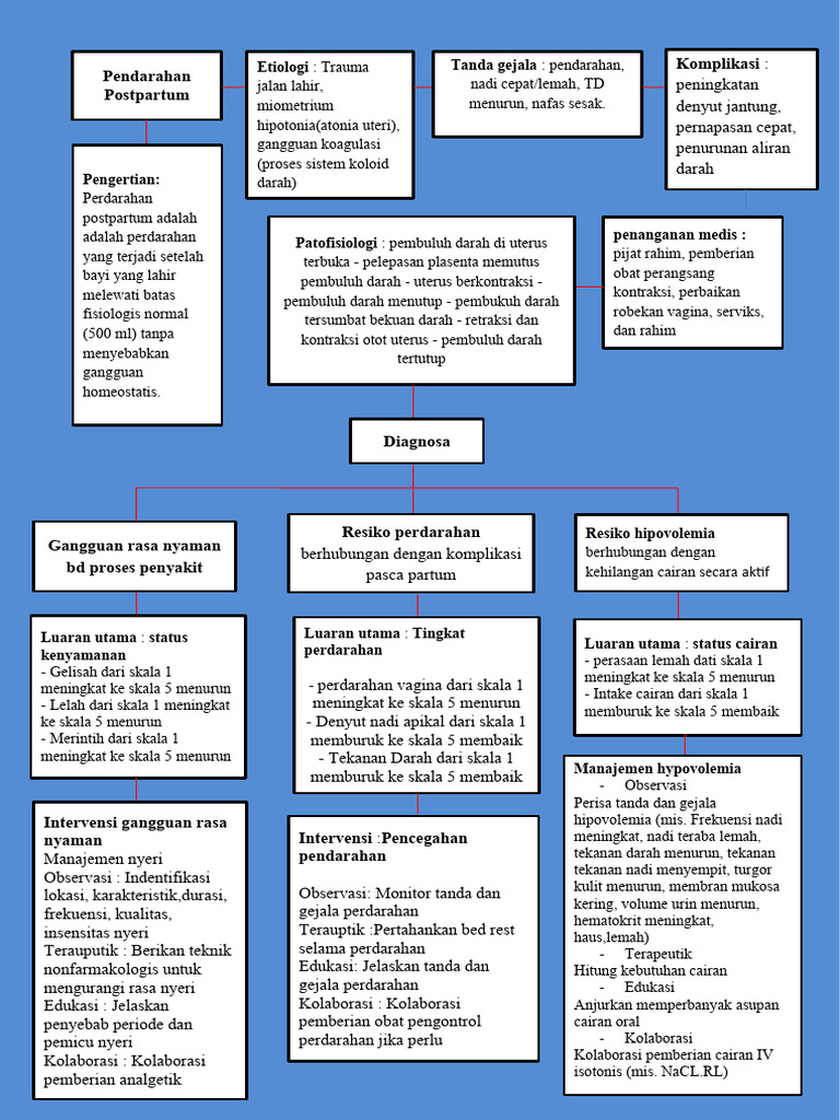 Bagan Woc Kelompok 4 - Postpartum | PDF