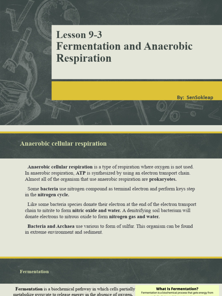 Fermentation And Anaerobic Respiration Pdf