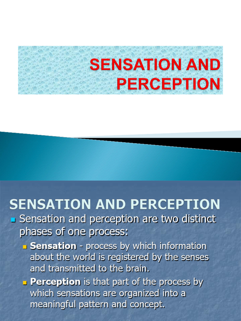 SENSATION AND PERCEPTION PART 1 | PDF