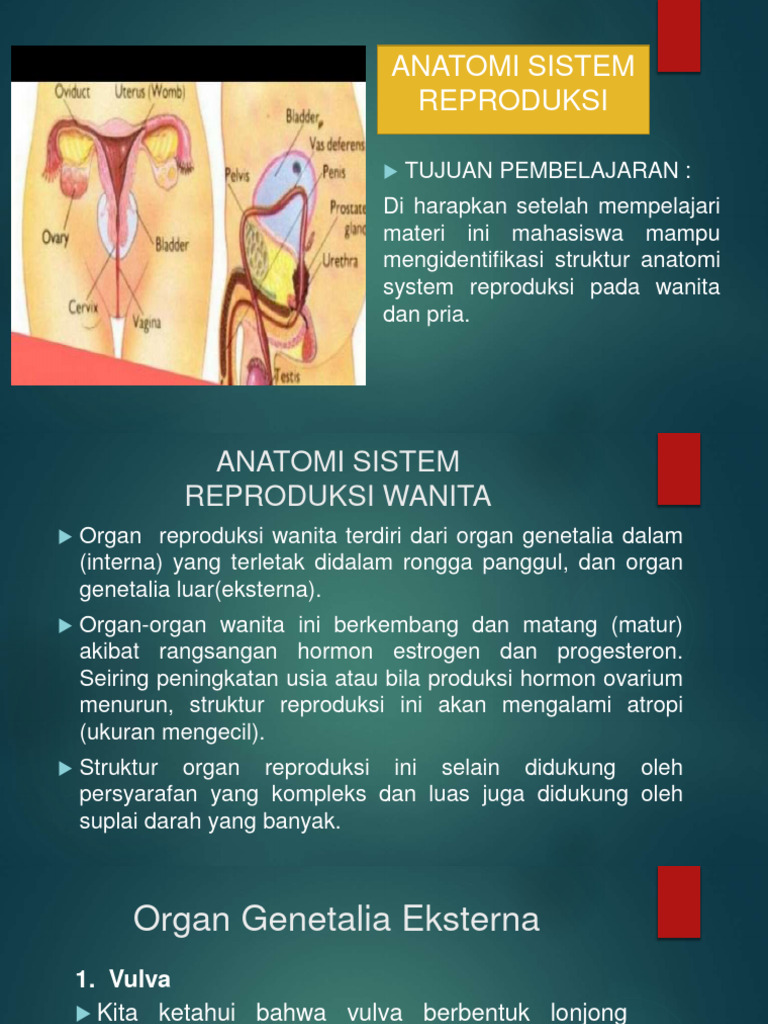 Struktur Anatomi Sistem Reproduksi | PDF | Kesehatan Holistik