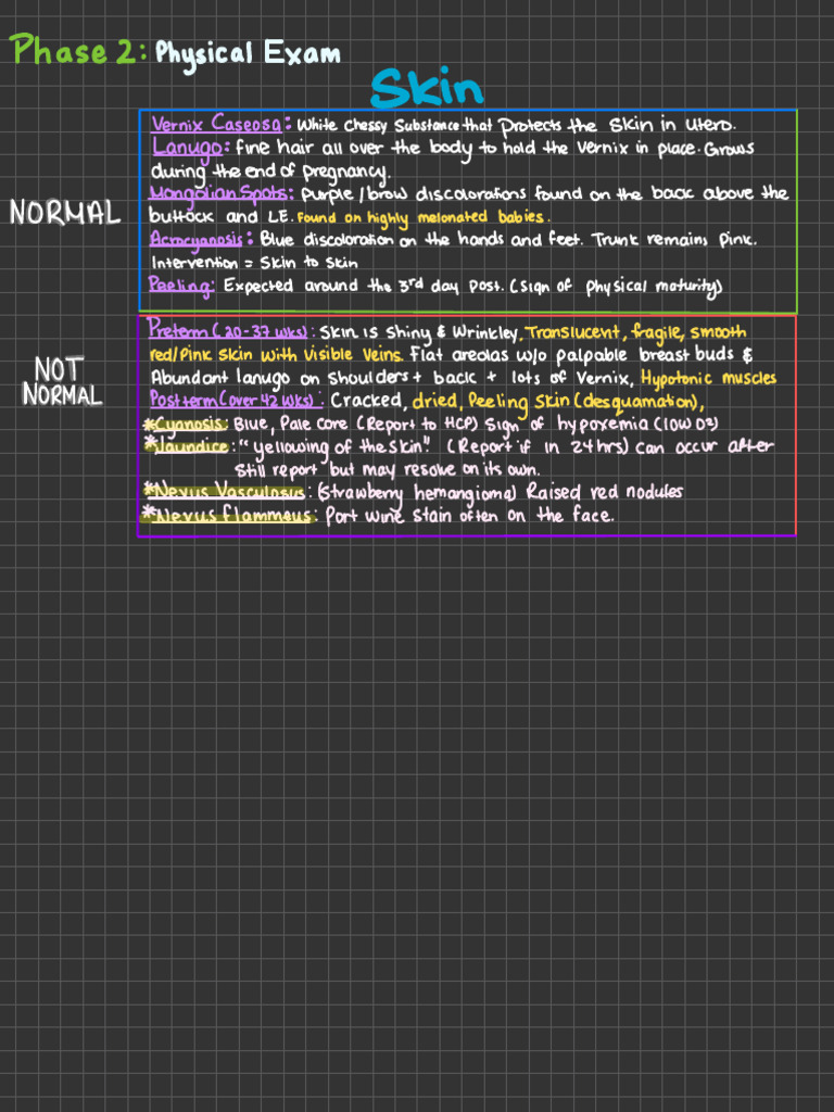 OB Notes 101 4 | PDF