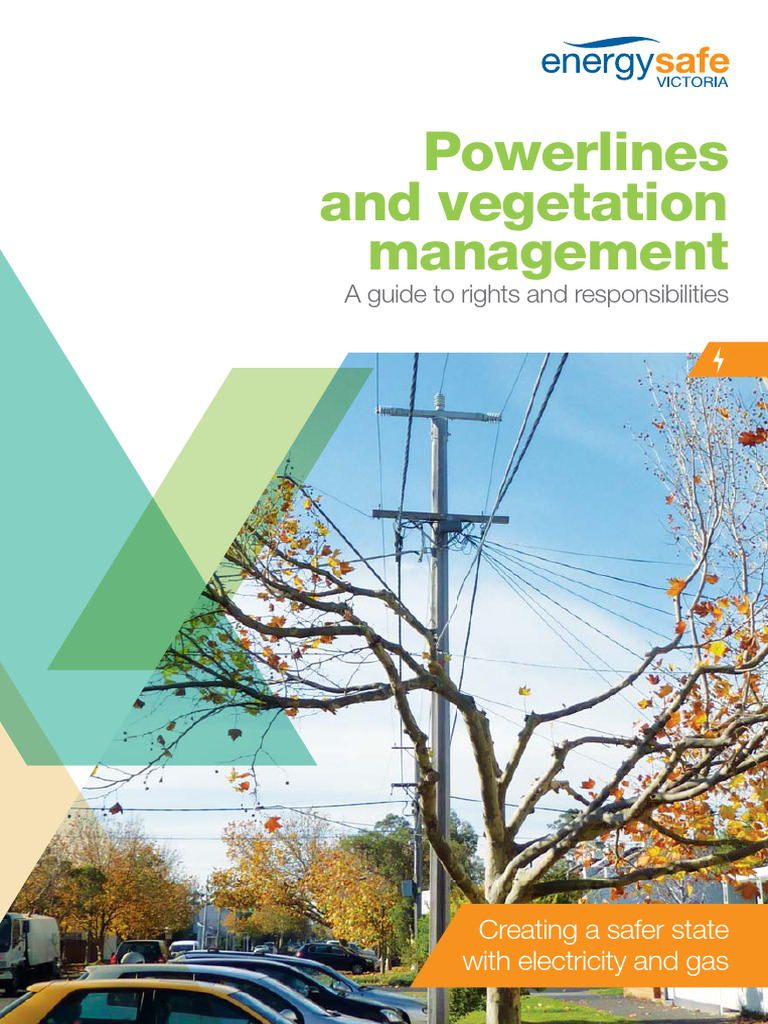 Powerlines and Vegetation Management Brochure | PDF