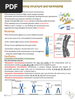 Human Karyotyping Activity | PDF | Karyotype | Chromosome