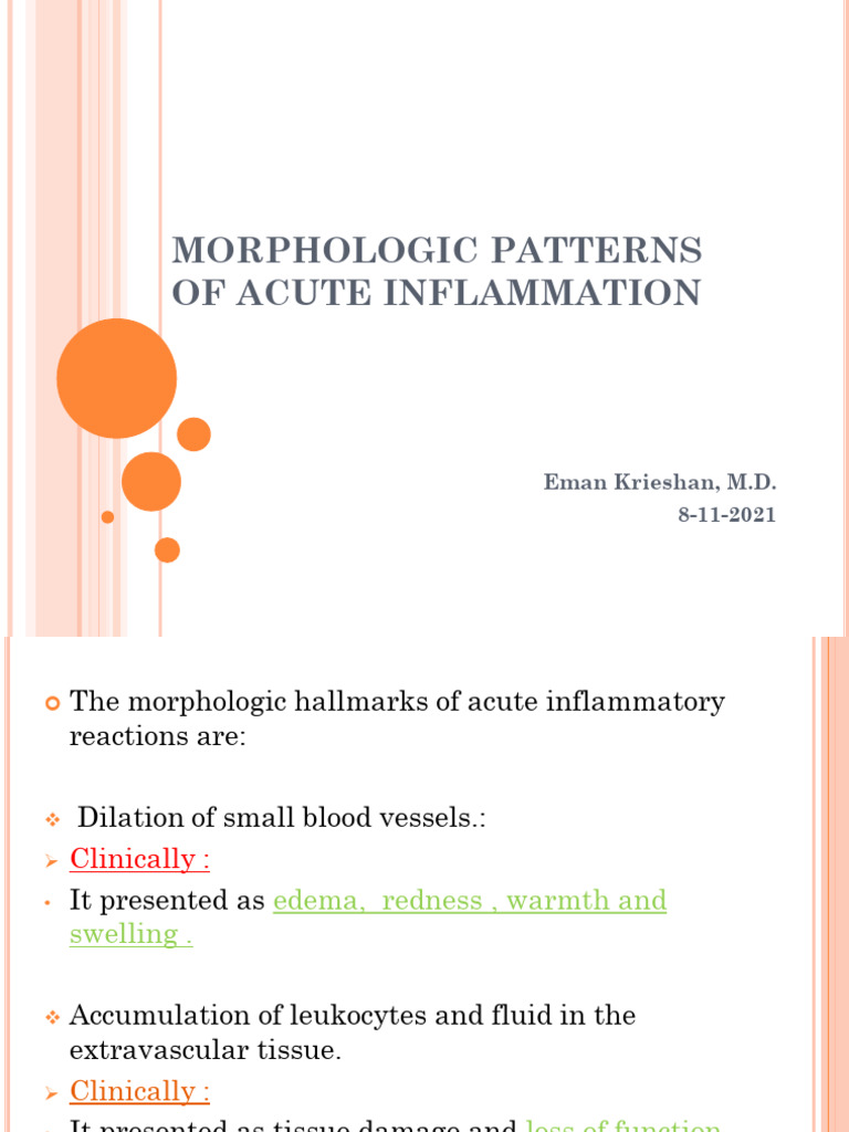 Morphologic Patterns of Inflammation | PDF